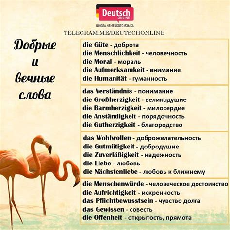 Немецкие существительные Добрые и красивые немецкие слова German