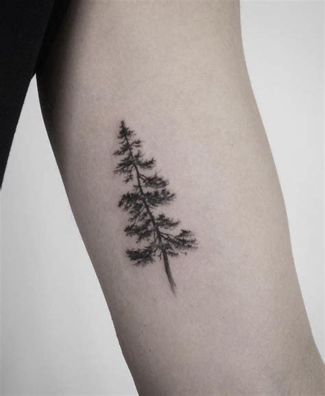 Tiny Pine Tree Tattoo