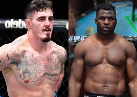 I Have No Loyalties To Francis Ngannou Heavyweight Prospect Tom