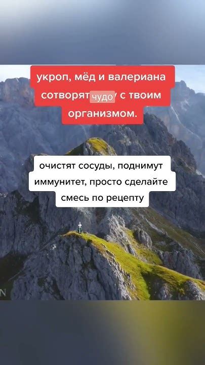 укроп мёд и валериана сотворят чудо с твоим организмом