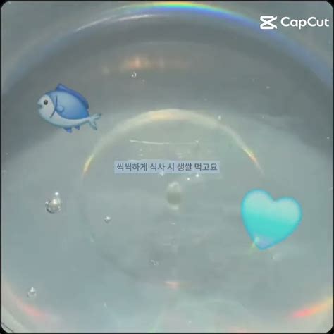 생선 먹구 싶다 데헷🫠리즘아 떡상기원 관리자님추천뜨게해주세요 관리자님잘생겼어요 알고리즘파괴자 탬플릿 설레임 Youtube