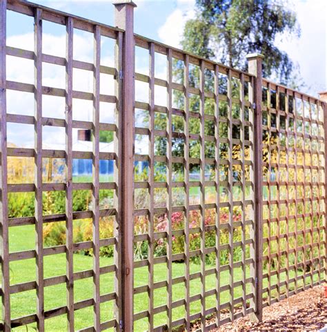 How To Replace A Trellis At Will Mcguirk Blog
