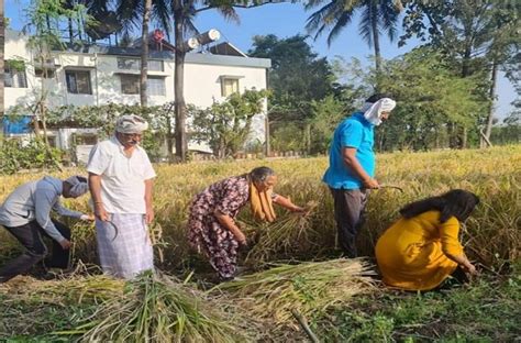 Photo साताऱ्यात उदयनराजेंचा पराभव करणारे खासदार श्रीनिवास पाटील चक्क शेताच्या बांधावर