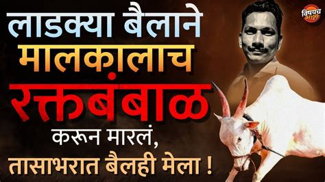 Vijay Mhatre News बैलगाड्याचा नाद नडला बैलानेच घेतला मालकाचा जीव