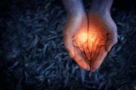 Learn Reiki For Mind Body And Spirit Healing Dragonfly Reiki