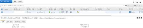 Putty로 Aws Ec2로 만든 리눅스 환경 접속하기 Deul