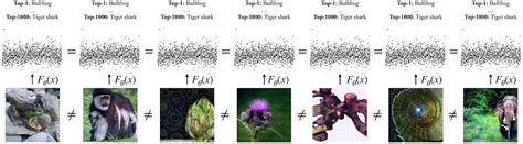 deep classifiers ignore almost everything they see and how we may be