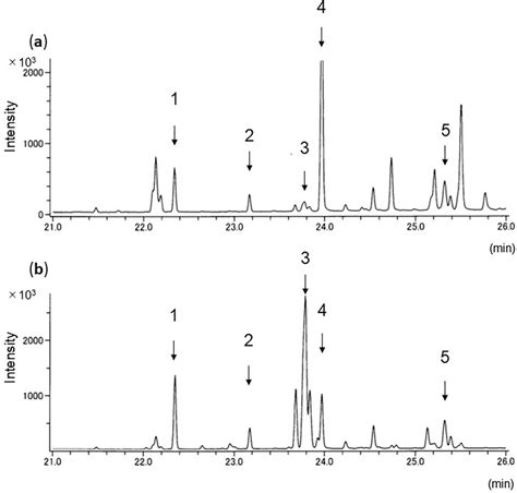Total Ion Chromatogram Of Gcms Profiles Of Hydrocarbons Of A Bungii
