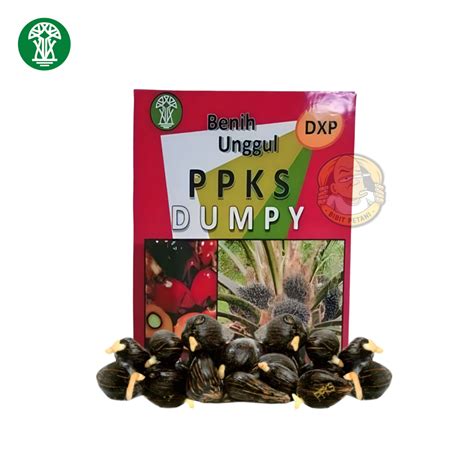 Jual Benih Polong Kecambah Bibit Sawit Dxp Ppks Dumpy Unggul Bersertifikat Original Asli Pelepah