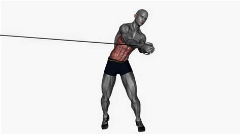 Diagonal Chop Cable Fitness Exercise Workout Animation Video Male