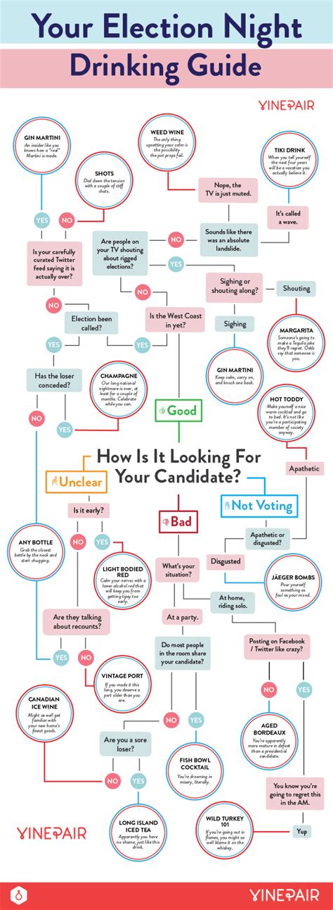 Your Election Night Drinking Guide Infographic Vinepair