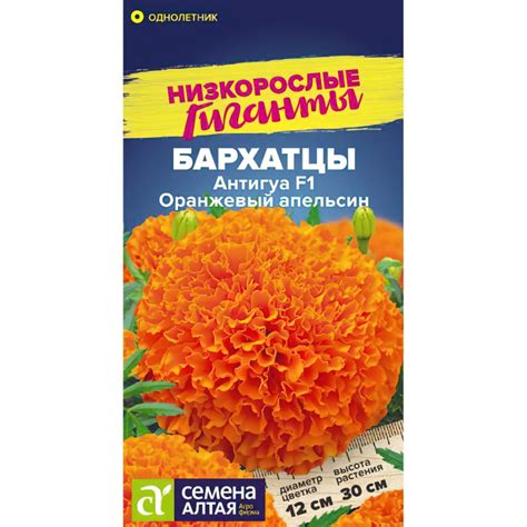 Купить Бархатцы Антигуа Оранжевый апельсин (Семена алтая) с доставкой ...