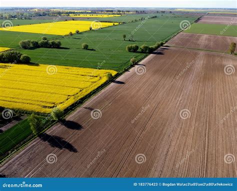 Lowland On Zulawy Wislane In Poland Stock Image Image Of Countryside