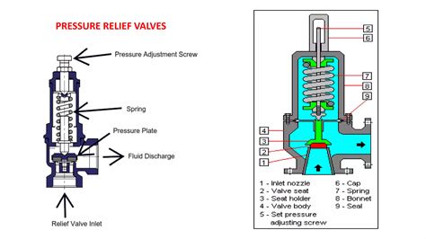 module 6 pdf