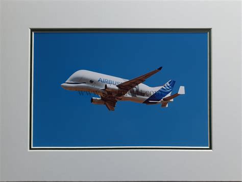Airbus Beluga Xl