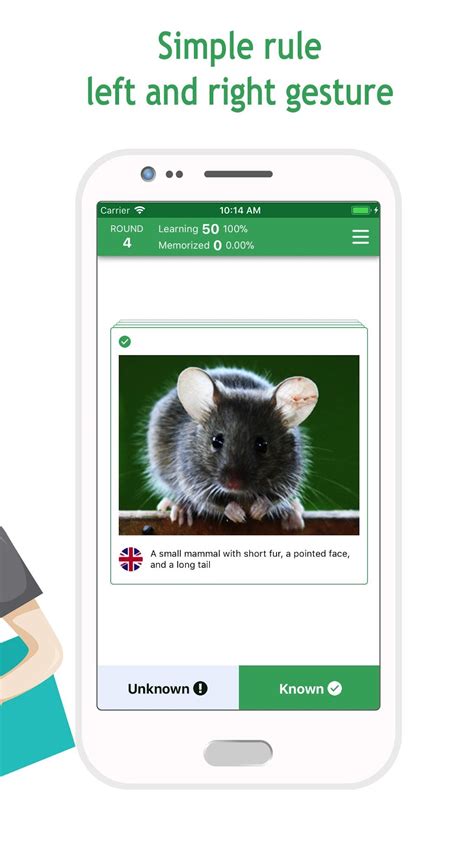 Anki Flashcards Anki App Engl Apk For Android Download