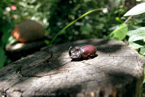 Fat Bug By Dannystar963 On Deviantart