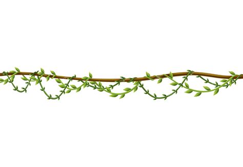 리아나 줄기 테두리 열대 우림 녹색 포도 나무 또는 나뭇 가지에 매달려 꼬인 식물 만화 정글 기는 열대 자연 식물 프리미엄 벡터