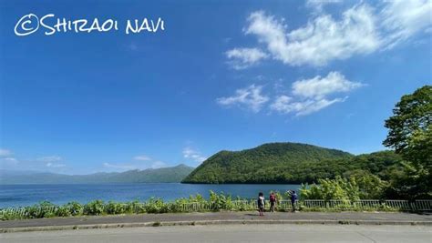 苔の回廊支笏湖畔からアクセス緑のパワースポットへ北海道千歳市の楓沢 しらおいナビ