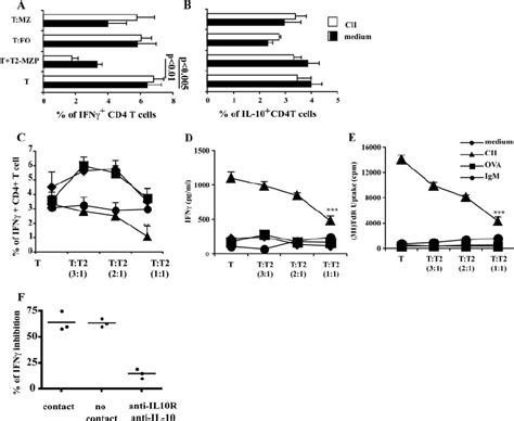 The Inhibition Of Th1 Differentiation By T2 Mzp B Cells Is Il 10