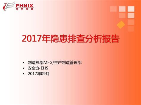 2017 生产安全隐患排查数据统计分析模板word文档在线阅读与下载免费文档