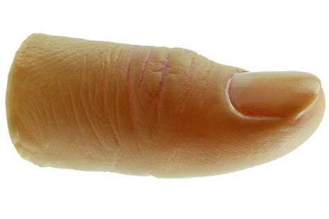 Fingerprint Simulator By Hottrix