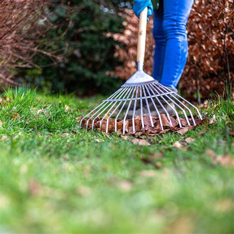 Lawn And Leaf Rake Lawn Care Stainless Steel Ames Tools