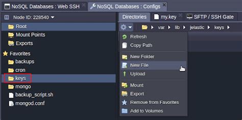 Mongodb Replica Set With Master Slave Replication And Automated Failover Docktera