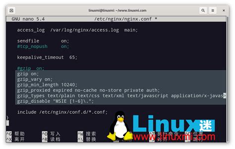 在 Linux 上微调 Nginx 获得最佳性能的 8 种方法 Linux迷