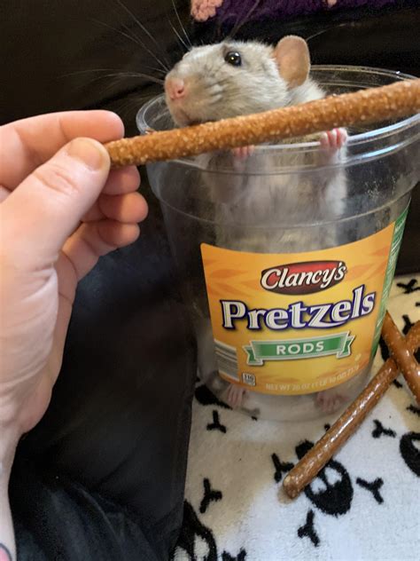 Snoot Says Its Really Important To Have Good Quarantine Snacks 😛 R