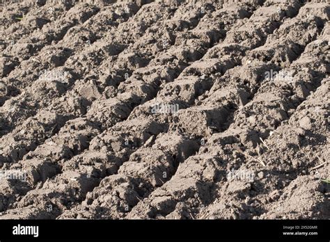precise seed rows on fresh fields the perfect preparation for a good