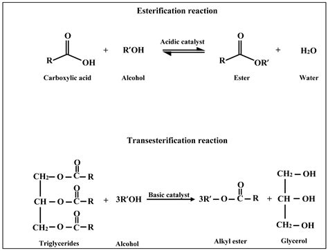 Utilization Of Polymeric Materials Toward Sustainable Biodiesel
