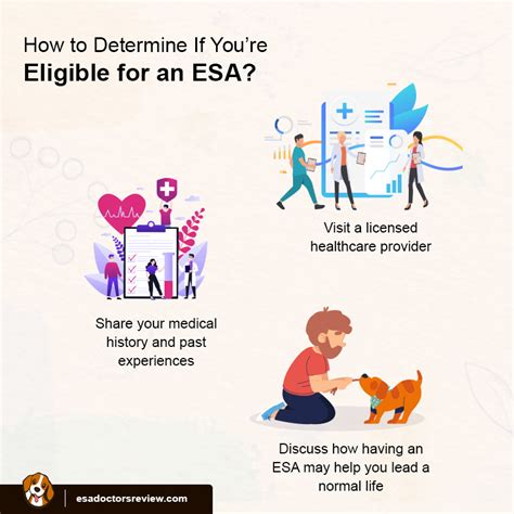 Get Answers To The 19 Most Asked Questions About Esas