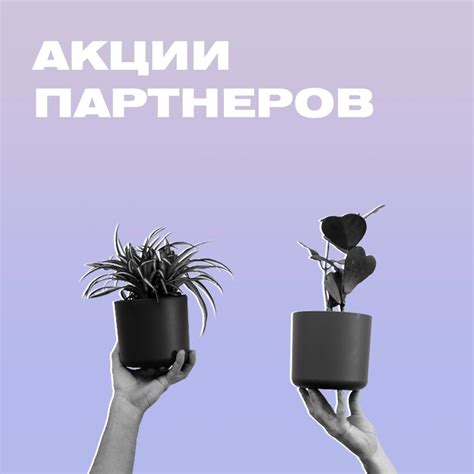 Кафе "Роман" Книги: фэнтези, романы, ФЛР и т.д. 2024 | ВКонтакте