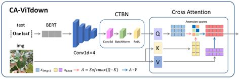 Plants Free Full Text Ctdunet A Multimodal Cnn Transformer Dual U Shaped Network With