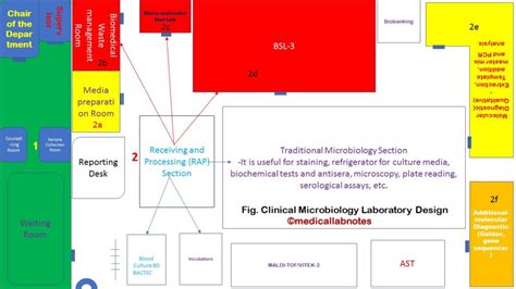 Clinical Microbiology Laboratory Design Introduction Section