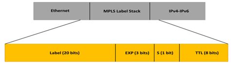 MPLS Label Components Download Scientific Diagram