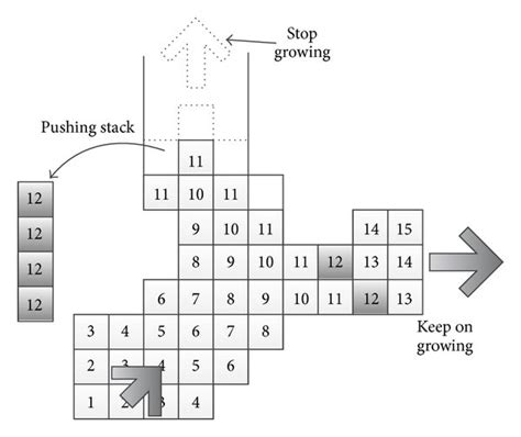 Procedure Of Growing At The Branch Connection Download Scientific