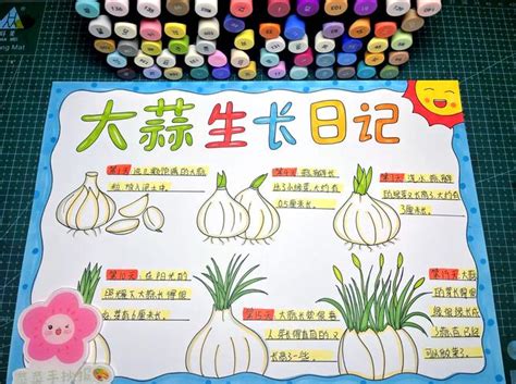 生物观察一种植物的手抄报怎么画简单又好看（热门12张） 手抄报图片大全