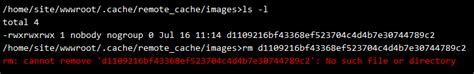 azure webapp for linux files can not be deleted accessed microsoft qanda