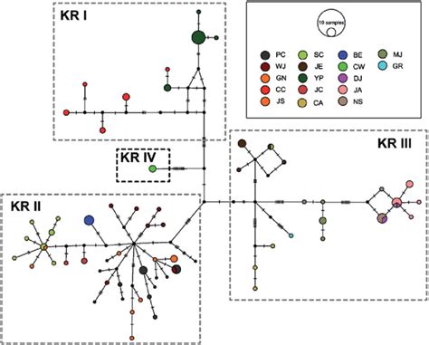 Median Joining Networks Of Onychodactylus Koreanus Constructed Using