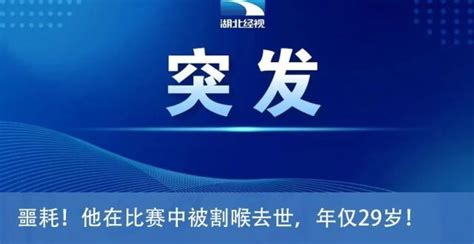 突发！进站高铁撞上跳轨女子官方通报！腾讯新闻