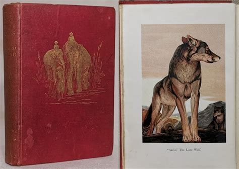 Rudyard Kipling The Two Jungle Books 1924 Catawiki