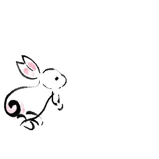 兔子图片 兔子素材 千库网