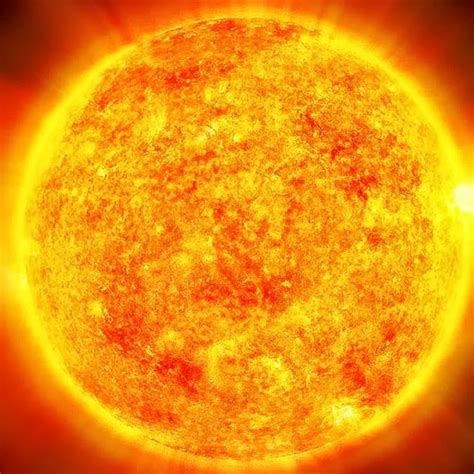 Seeder Vittelli Youtube