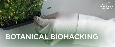 Botanical Biohacking Plants And Supplements In 2025