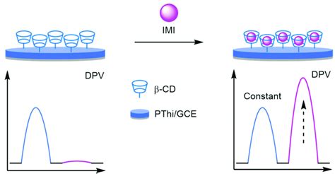 Schematic Representation Of β Cyclodextrin Based Modified Electrode For Download Scientific