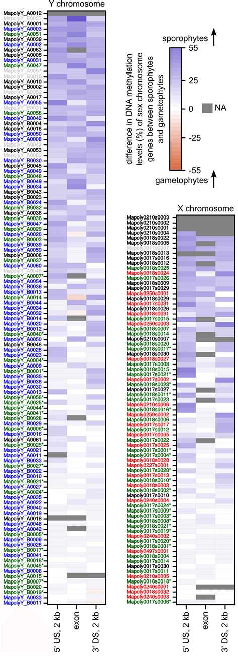 Fig S2 Difference In Overall Methylation Levels All Contexts Of