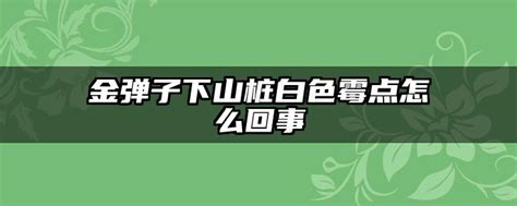 金弹子下山桩白色霉点怎么回事 蓝妖花园
