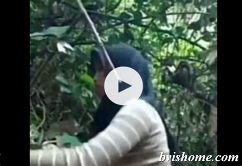 Pacitan Viral Dihutan 35 Detik Link Di Twitter Tiktok Telegram Bvishome